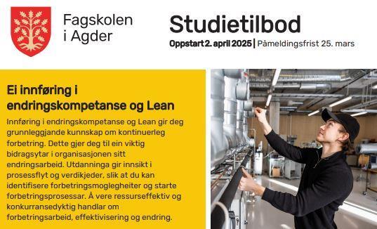 Regionalt studietilbod i endringskompetanse og Lean - Bykle kommune